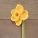 Knitted Forget-me-not - PDF Forget-me-not Knitting Pattern - Etsy
