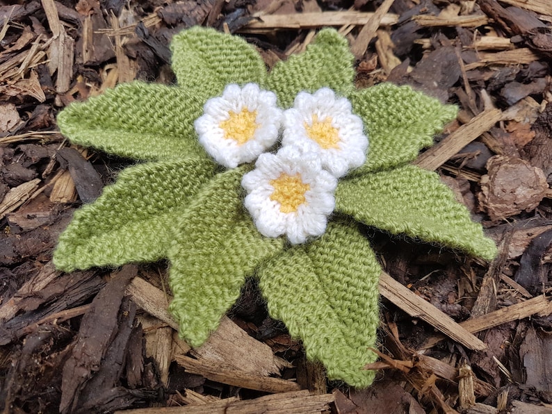 Knitted Primrose - PDF Primrose Knitting Pattern - Etsy