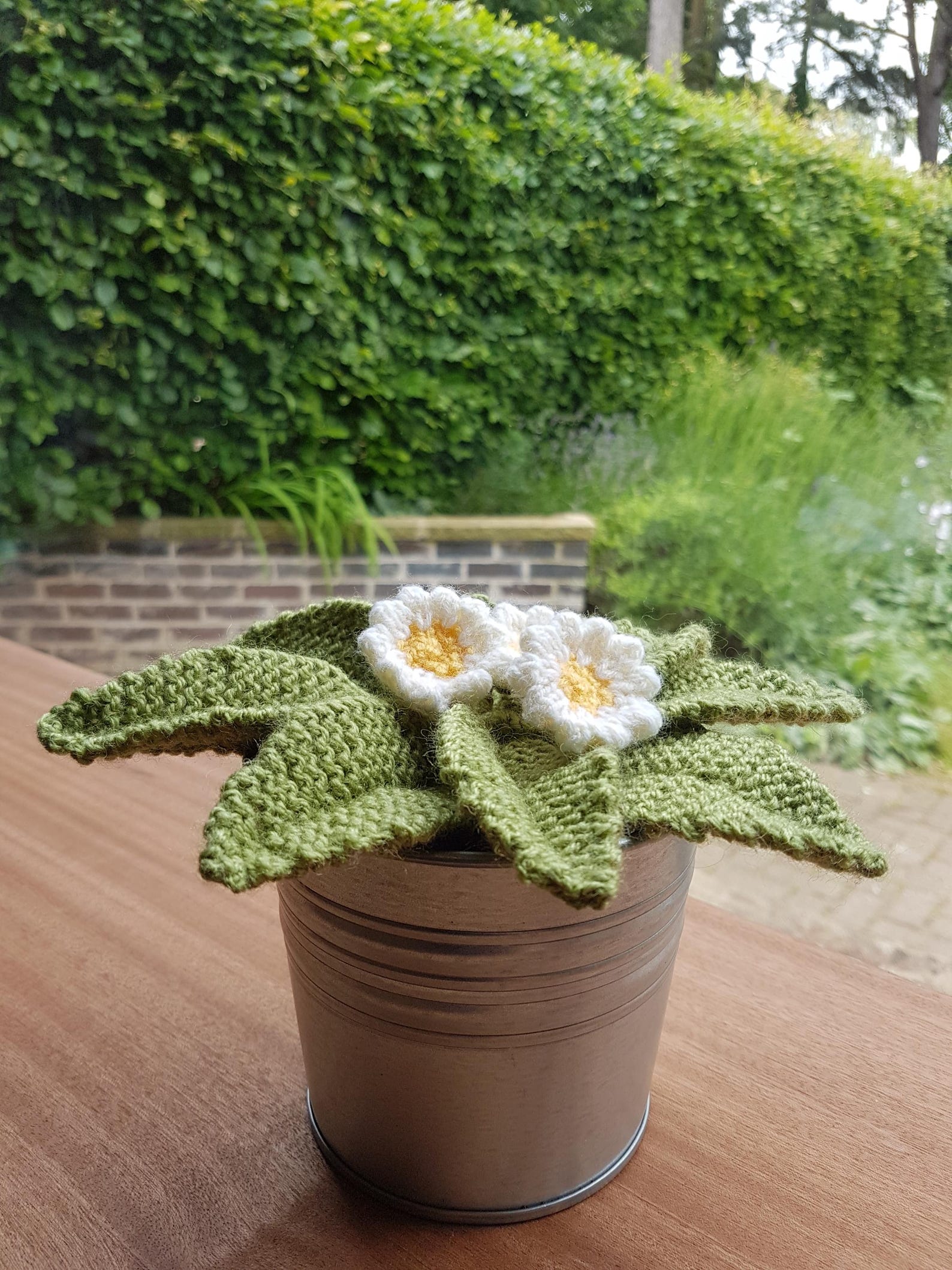 Knitted Primrose - PDF Primrose Knitting Pattern - Etsy