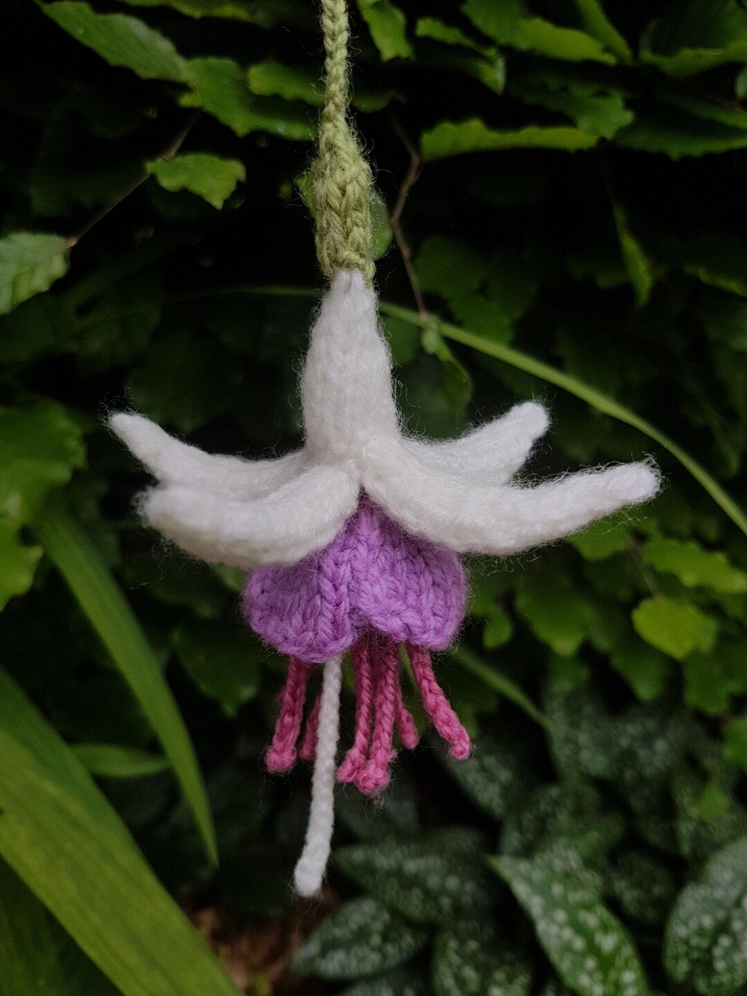 Knitted Fuchsia - PDF Fuchsia Knitting Pattern - Etsy Canada