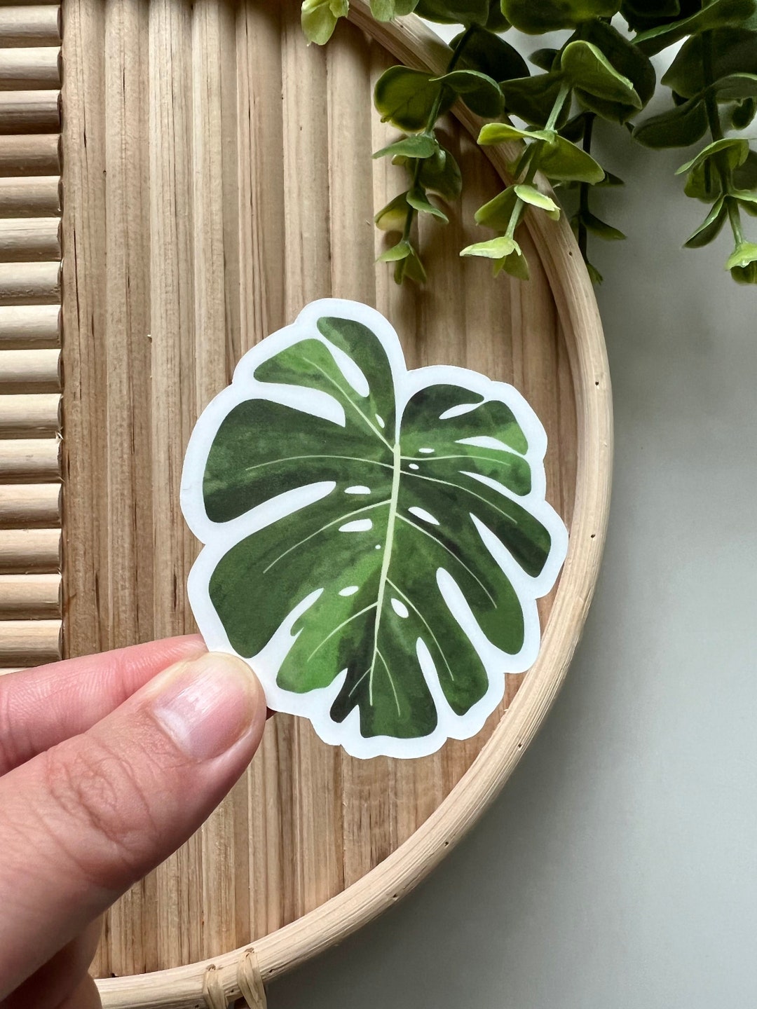 Watercolor Monstera Vinyl Sticker, Waterproof Sticker, Monstera Leaf ...