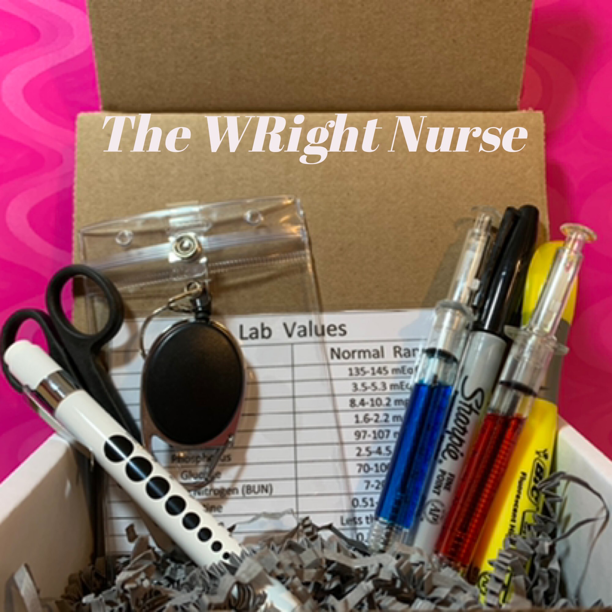 Nursing School Starter Kit | Etsy