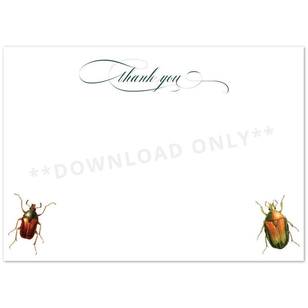 DIGITAL DOWNLOAD Insect Thank You Cards - Etsy