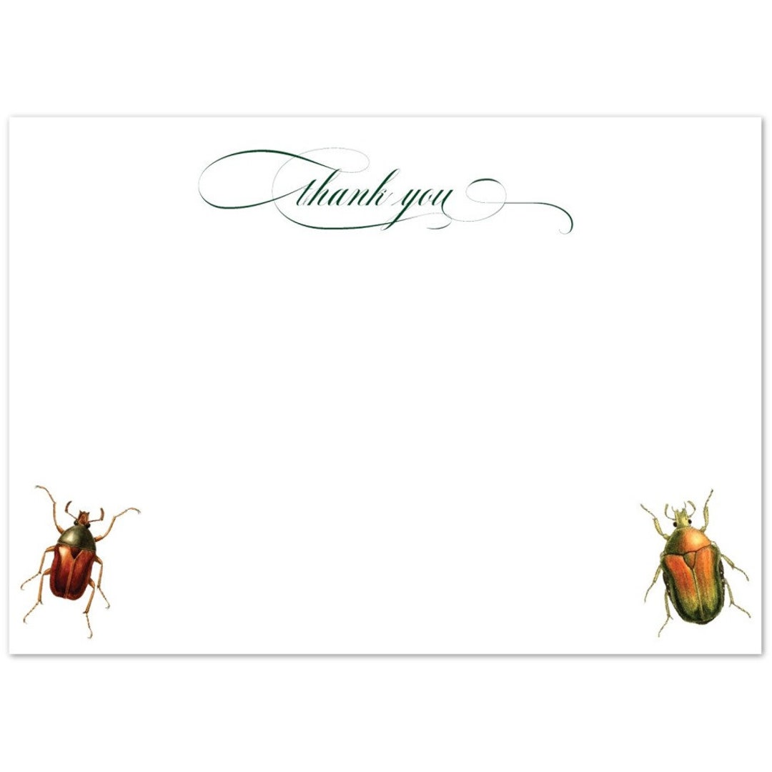 Pack of 10 Insect Thank You Cards With Envelopes - Etsy