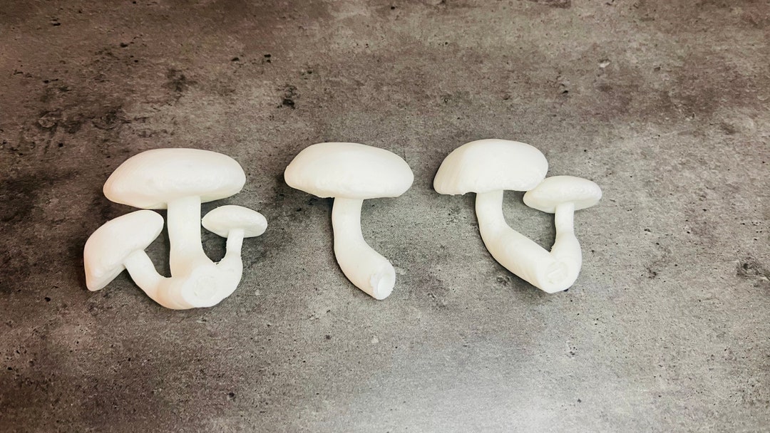 Mushrooms for Crafts & Painting | 3D Printed Mushrooms | Crafting ...