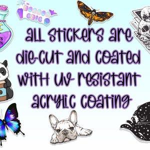 Skull Waterproof Vinyl Sticker, Skull Split in Half, Decals for Car ...