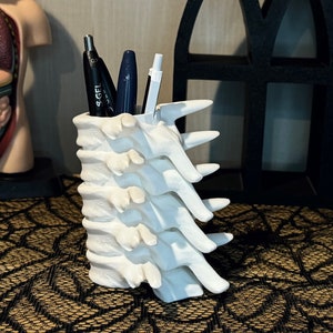 Spine Organizer: Spine Shaped Holder for Pens or Makeup Brushes - Etsy