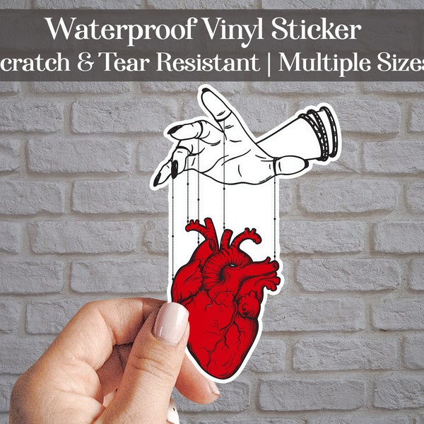 The Masters Anatomical - Etsy