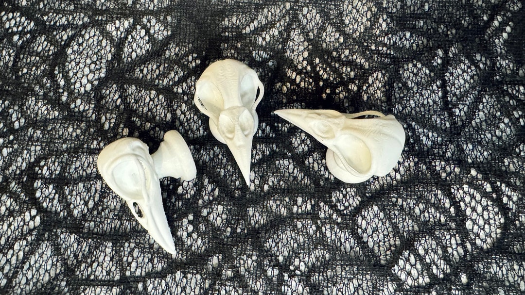 Raven Skull Drawer Knobs, Cabinet Pulls- Gothic Cabinet Pulls for ...