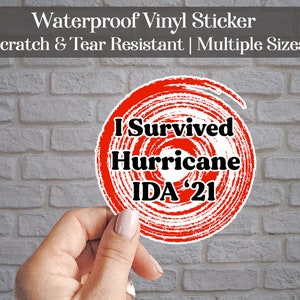 I Survived Hurricane Helene '24 Vinyl Sticker/ Debbie| Waterproof ...