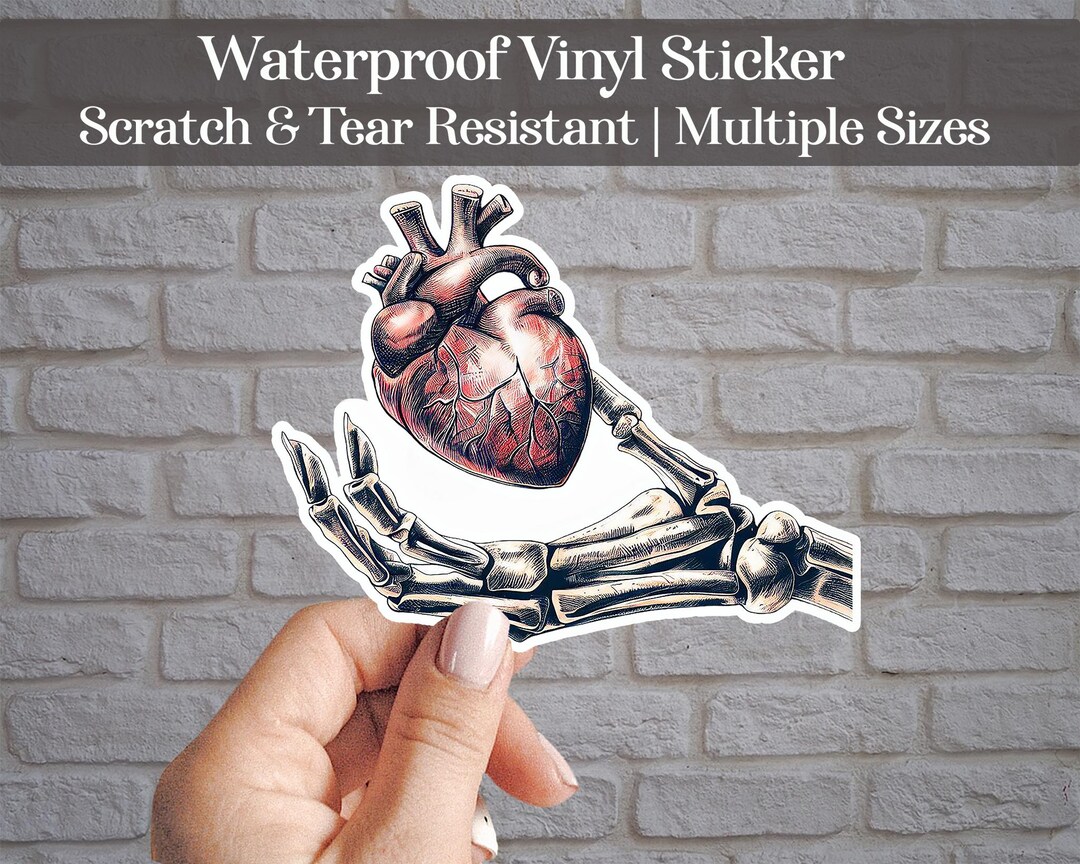 Skeleton Hand Holding Anatomical Heart Die Cut Decal / Sticker - Etsy