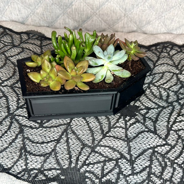 Gothic Planter - Etsy