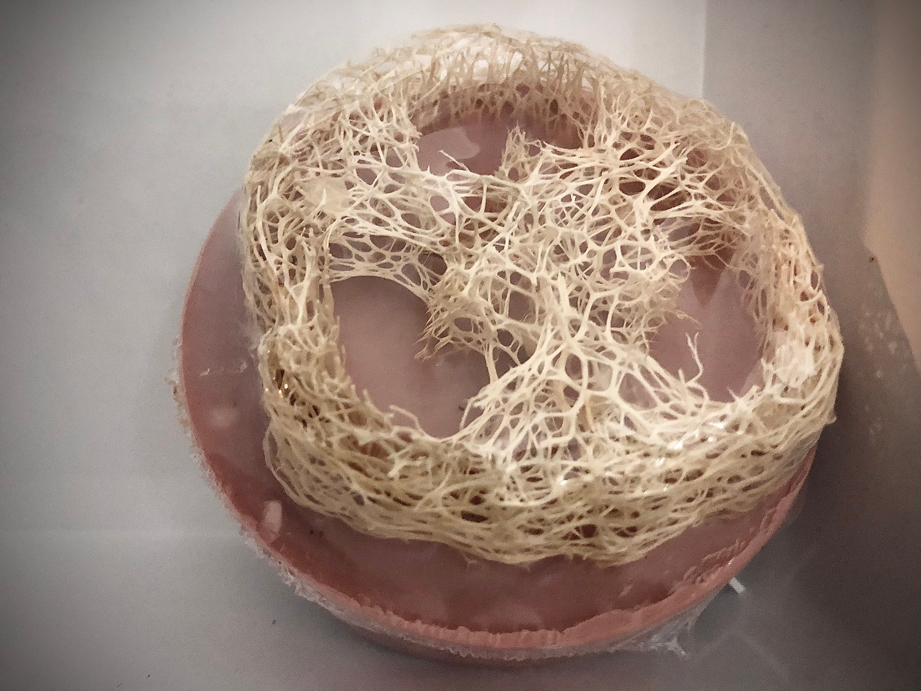 Goat Milk Luffa Soap - Etsy