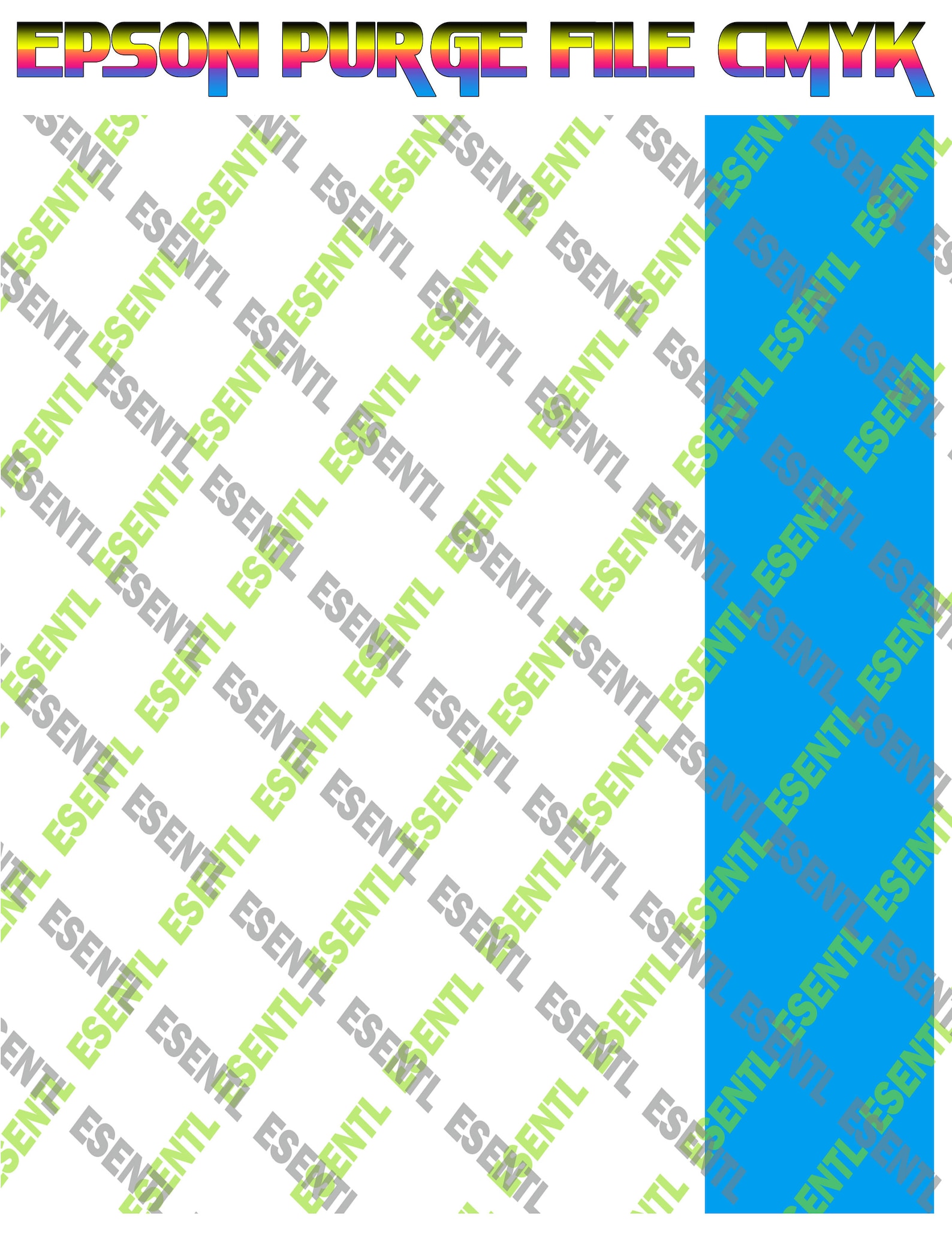 CMYK Purge Files High Res 300dpi for EPSON Printers -- Bonus: CMYK ...