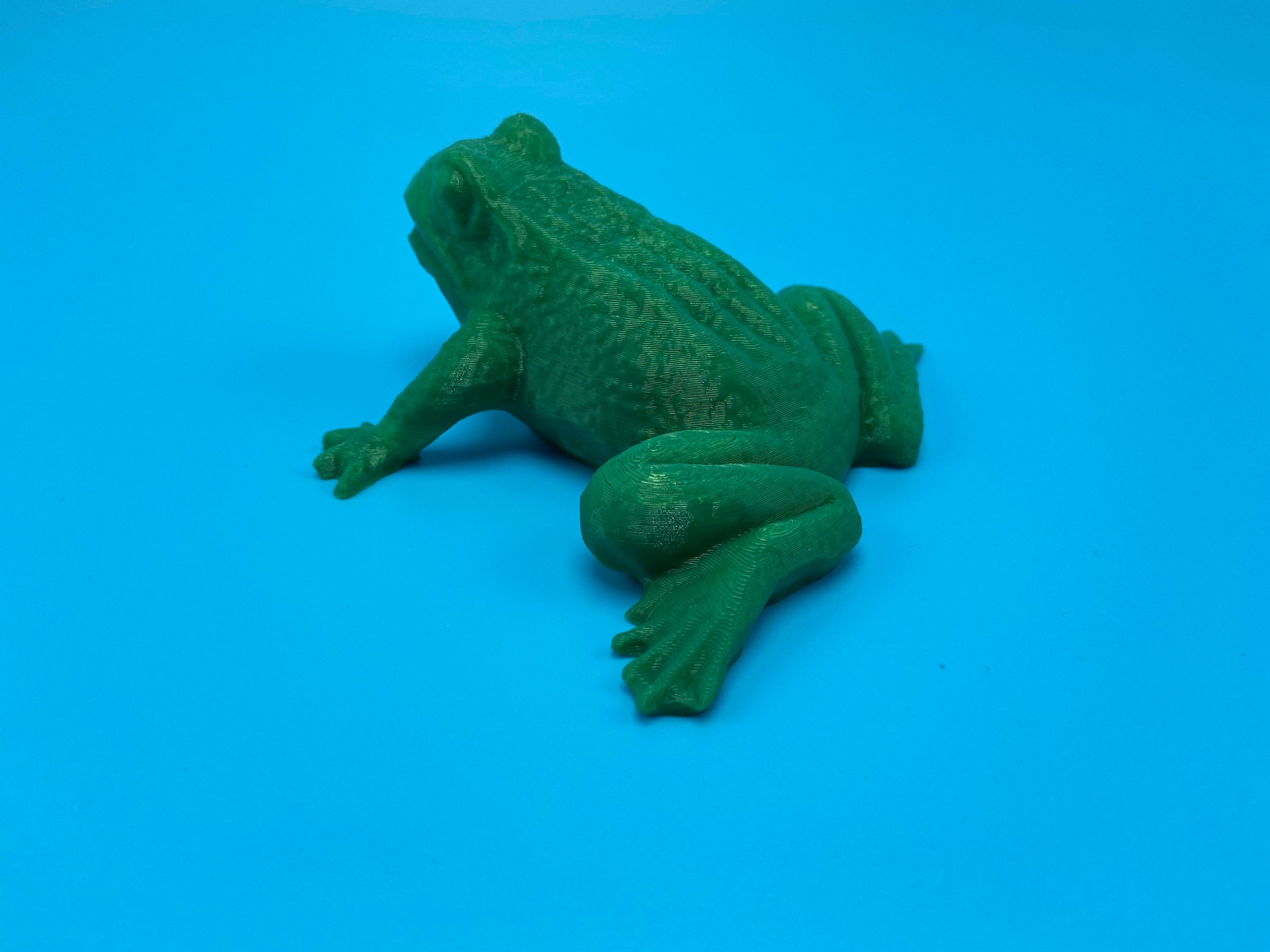 Fake Frog Geocache Container - Etsy