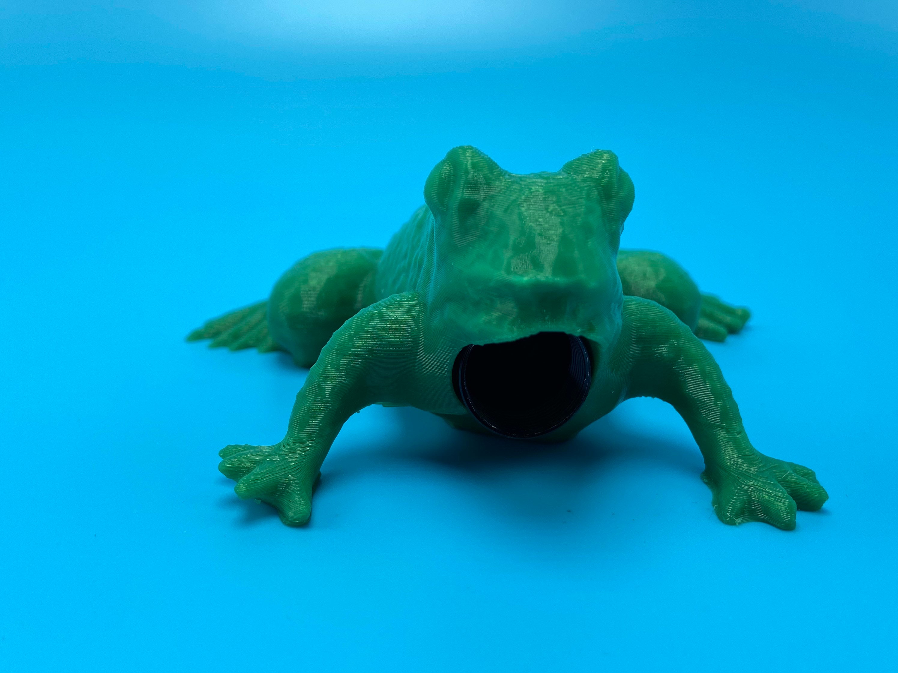 Fake Frog Geocache Container - Etsy