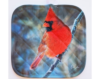 Funky Appliquéd Red Cardinal on Snowflakes Christmas Winter Pot Holder ...