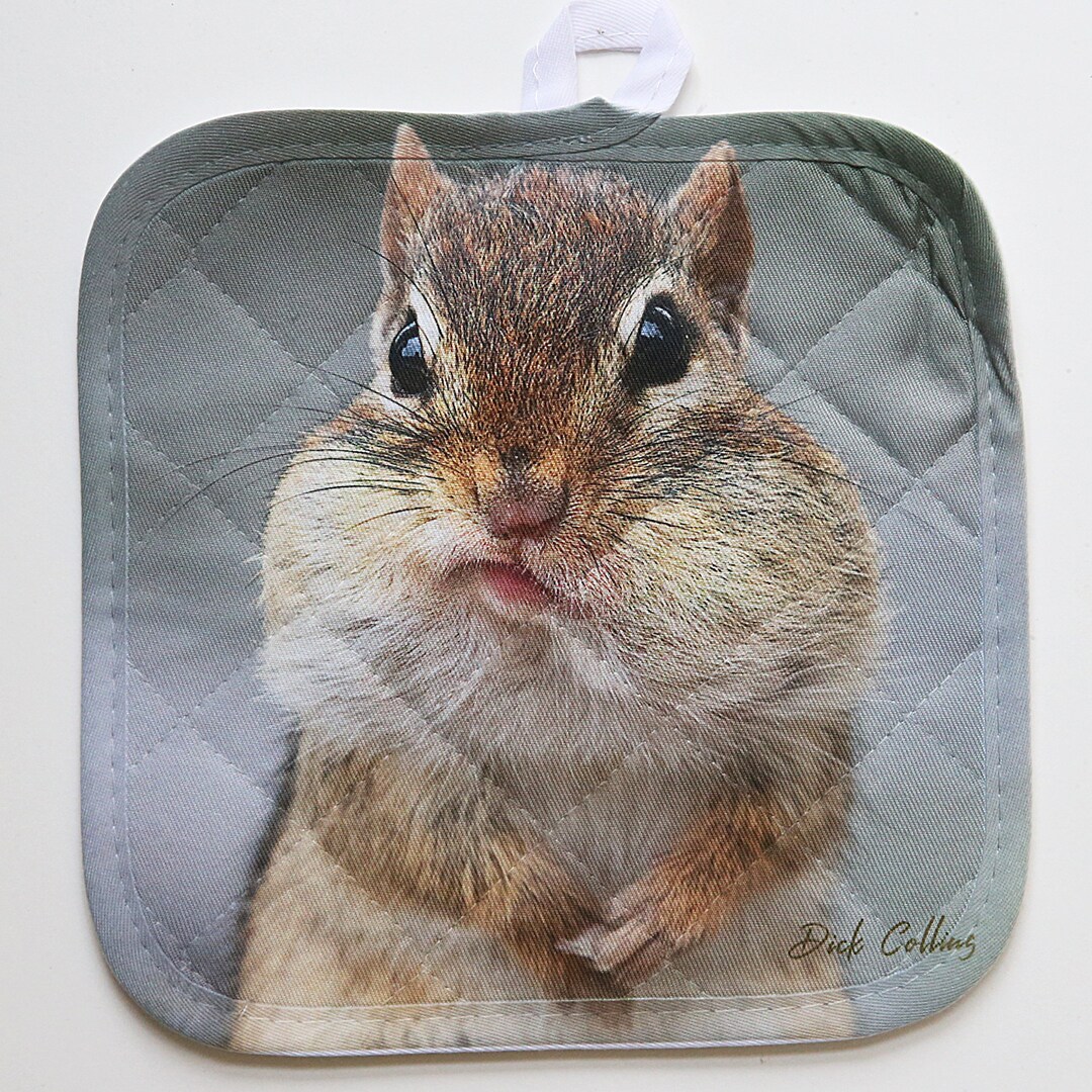 Eastern Chipmunk Pot Holder - Etsy