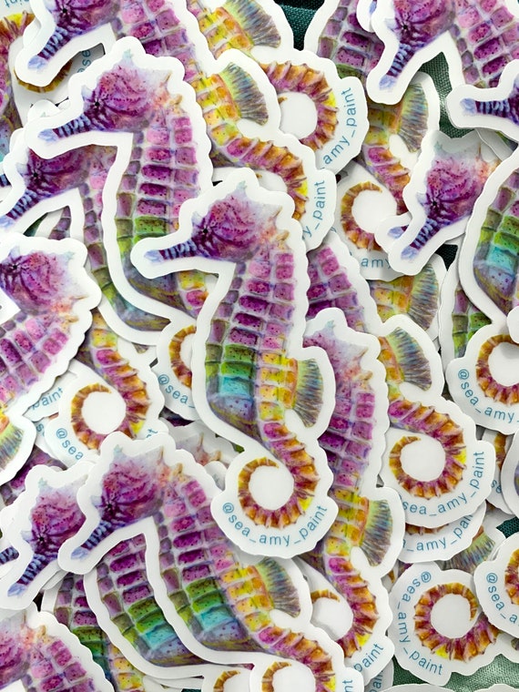 Rainbow Seahorse Sticker - Etsy