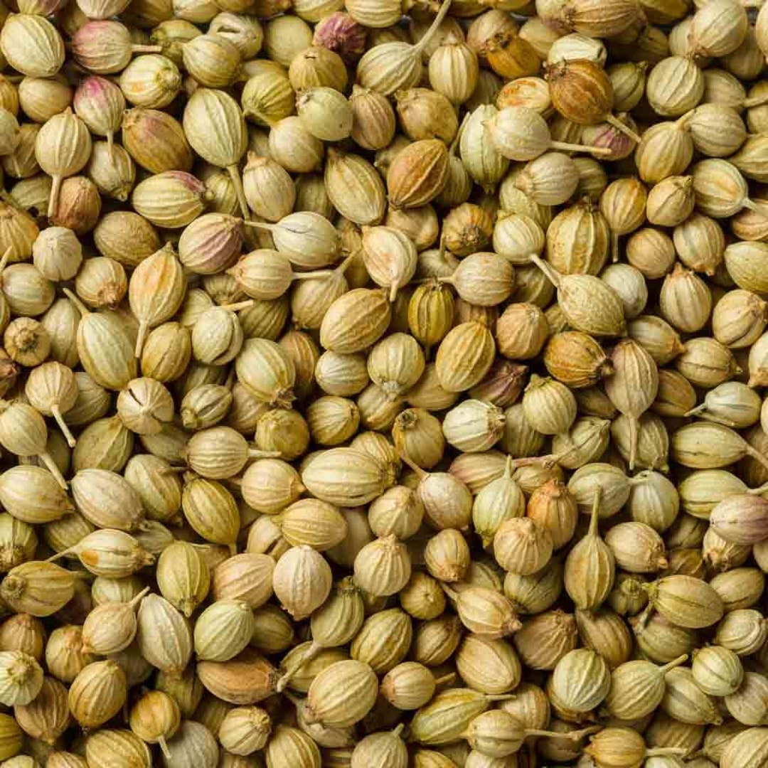 Whole Coriander Seeds 200g 100% Pure Organic and Natural - Etsy
