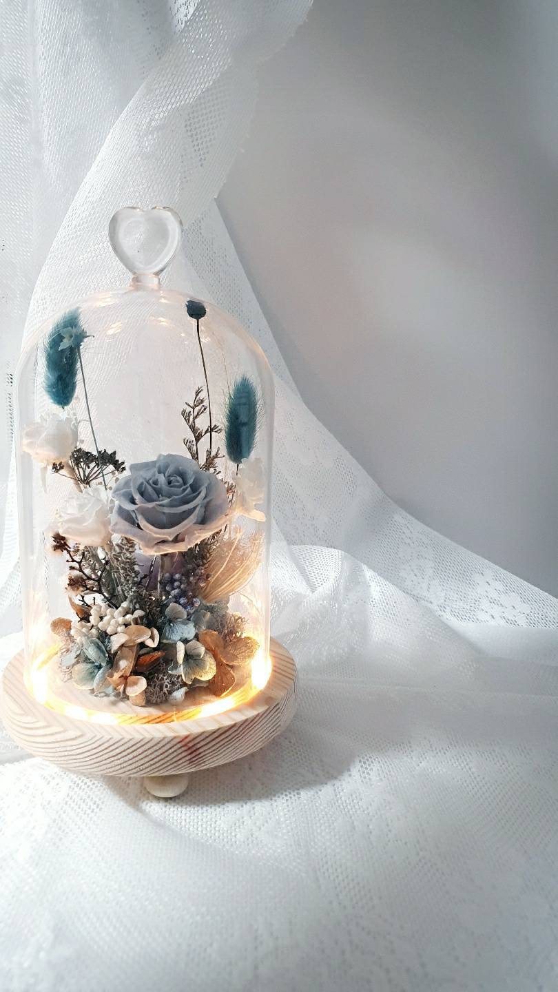 Blue Eternal Rose With Light Flower Glass Dome preserved | Etsy