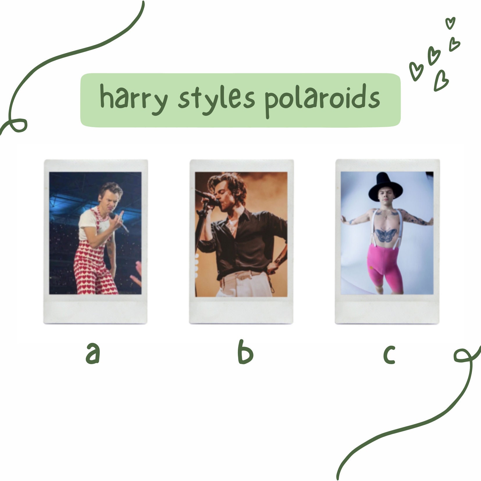 Harry Styles Polaroid Trekstock