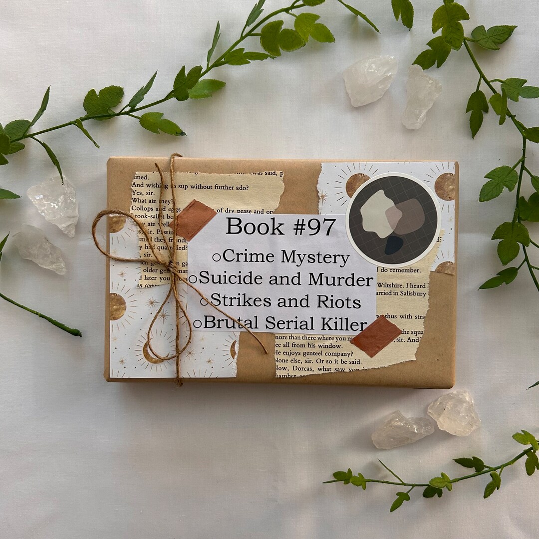 Book 97 - Blind Date With A Book / Mystery Book / Annotating Kit / Book ...