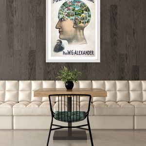 Human Brain Anatomy Science Poster Wall Art Print Vintage Antique ...