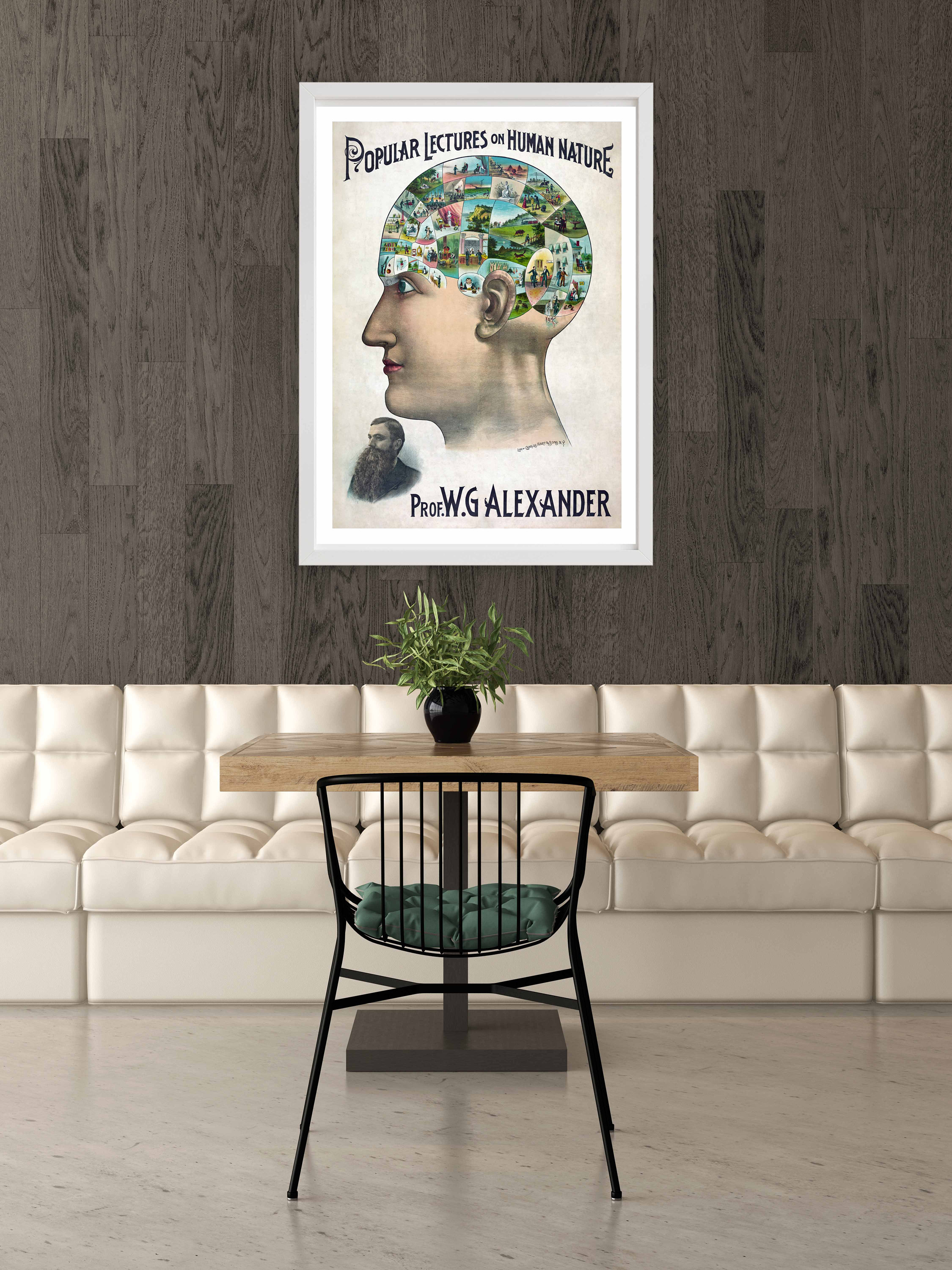 Human Brain Anatomy Science Poster Wall Art Print Vintage Antique ...