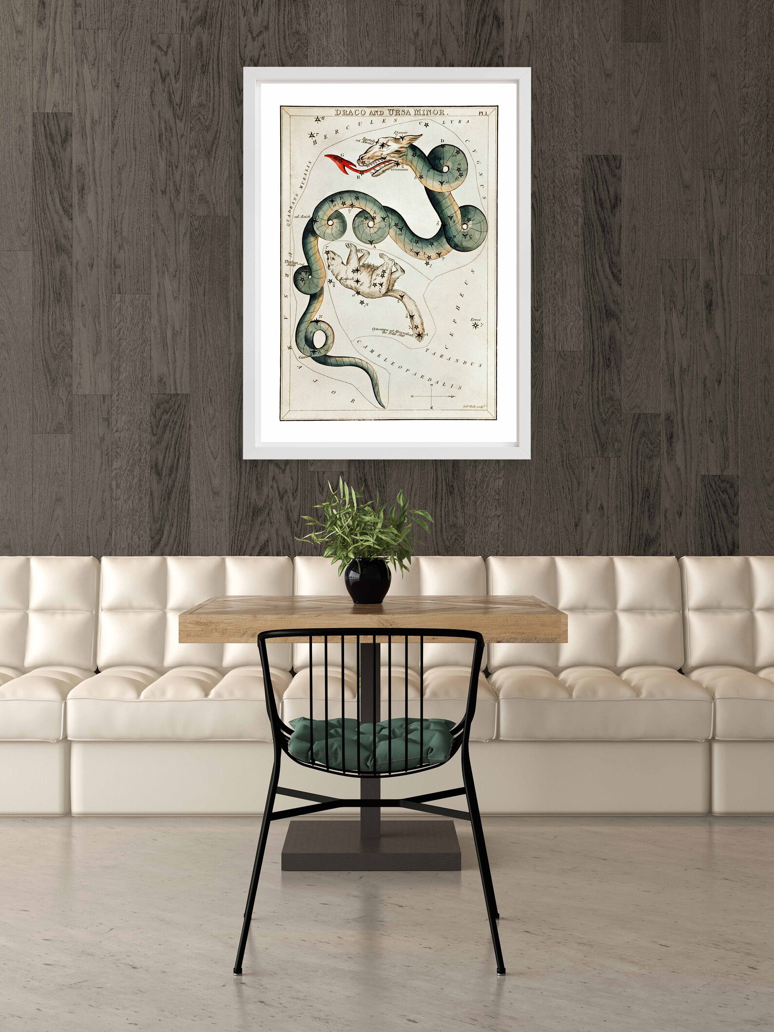 Astronomy Science Stars Wall Art Chart Draco Ursa Minor Snake ...