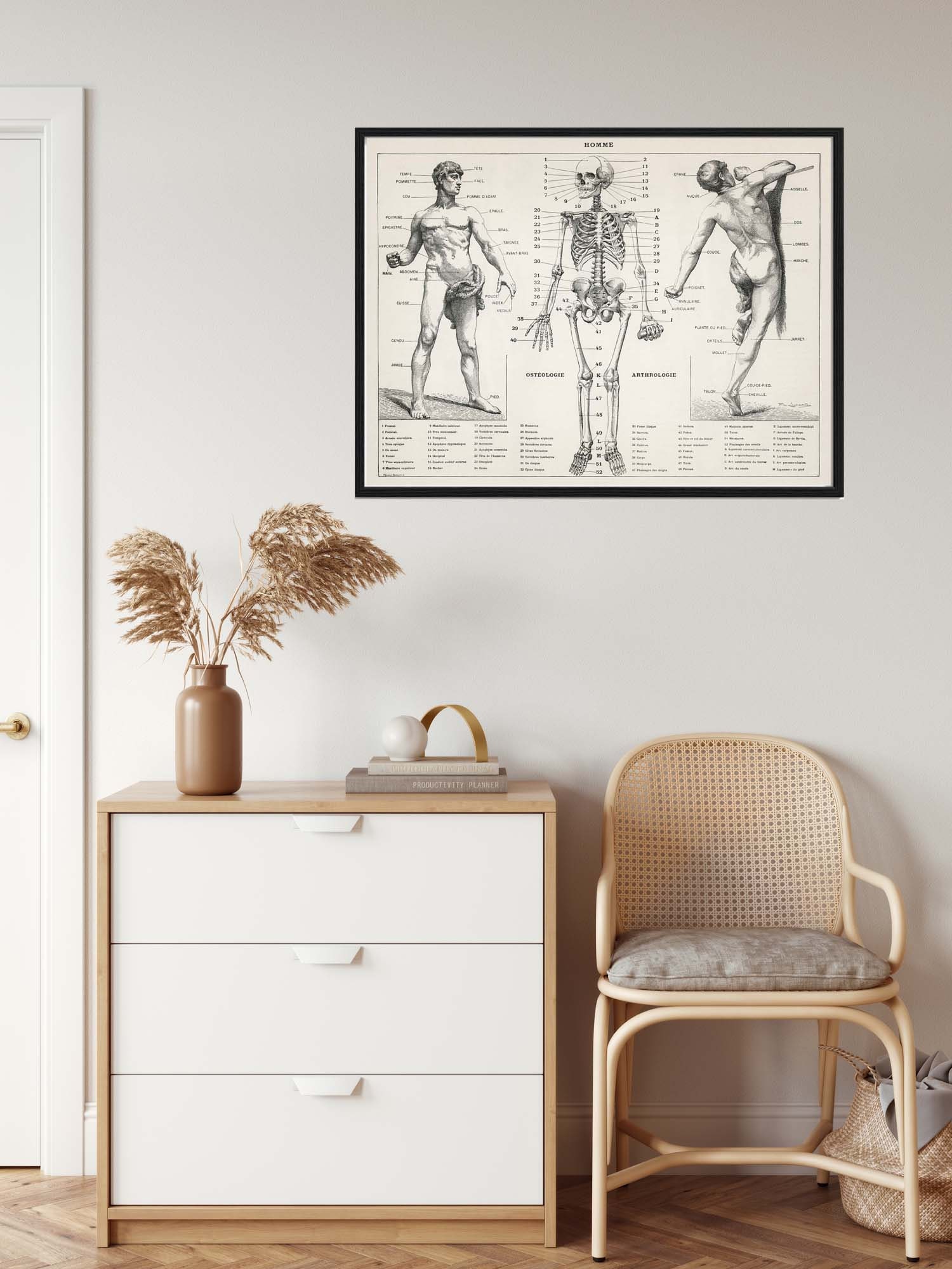Vintage Anatomy Chart Poster Wall Art Print Medical Medicine Science ...