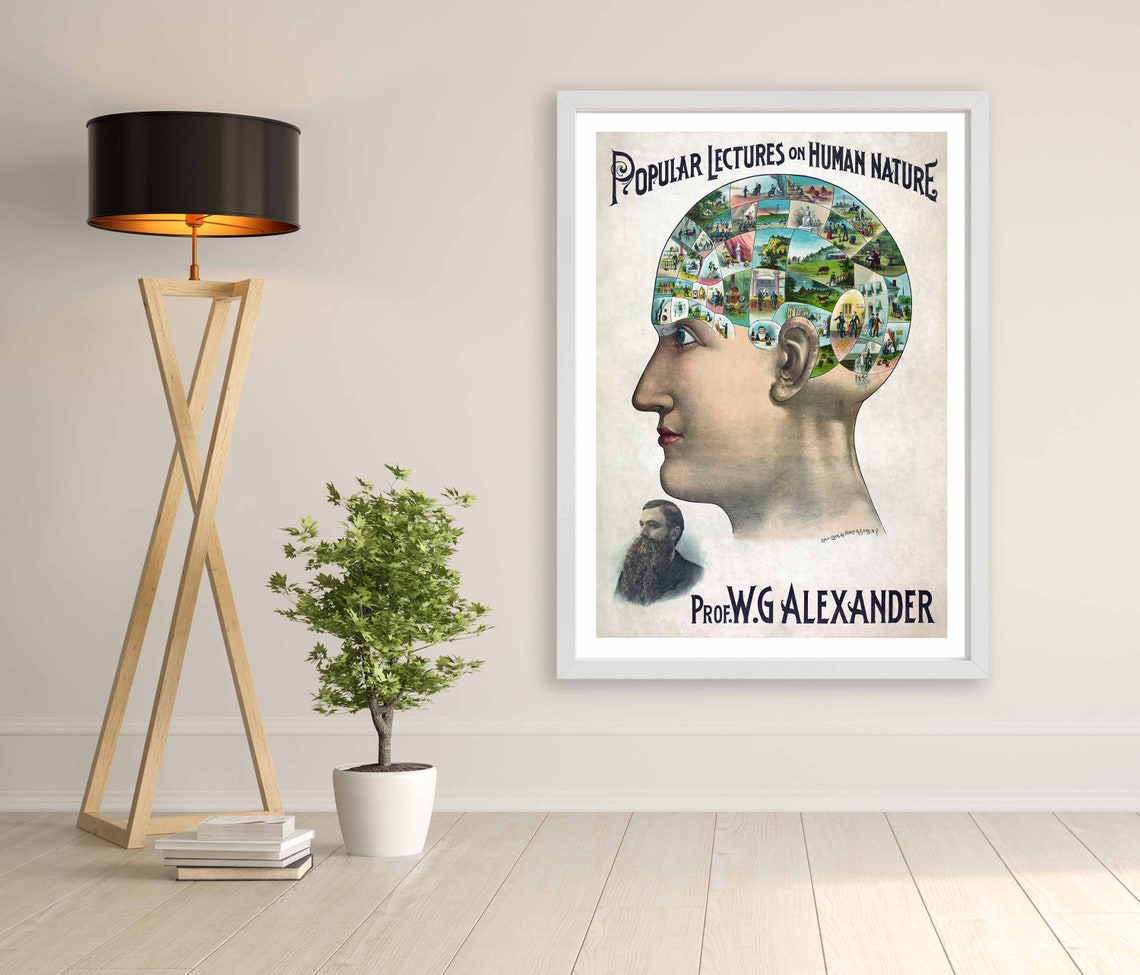 Human Brain Anatomy Science Poster Wall Art Print Vintage Antique ...