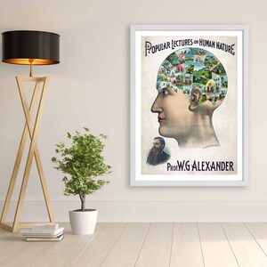 Human Brain Anatomy Science Poster Wall Art Print Vintage Antique ...