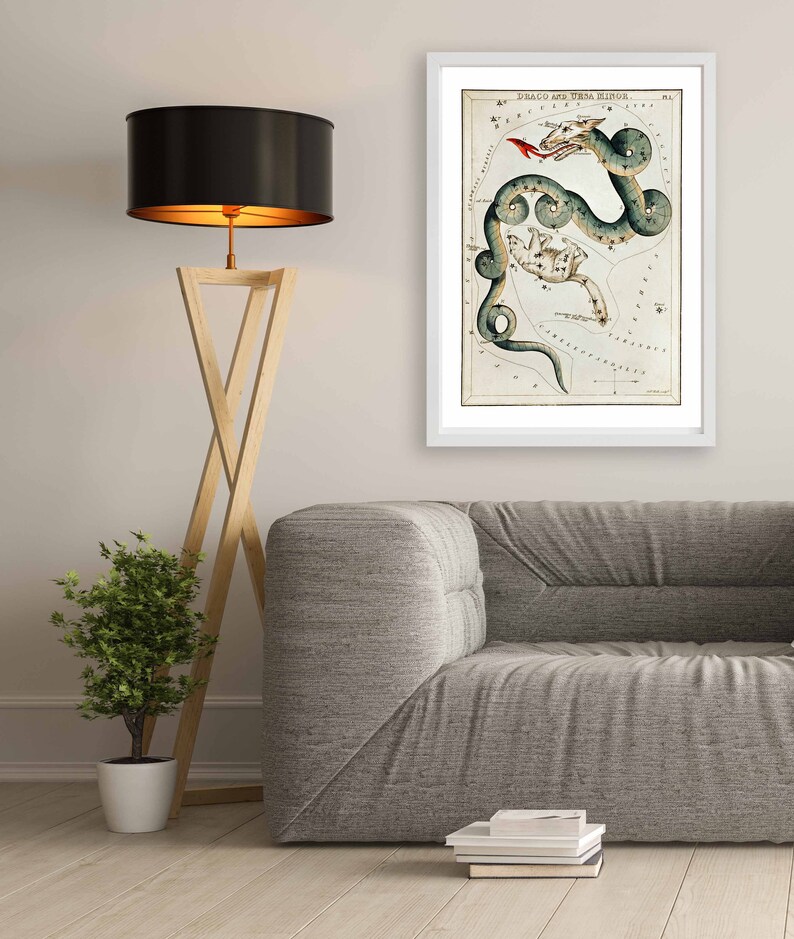Astronomy Science Stars Wall Art Chart Draco Ursa Minor Snake ...