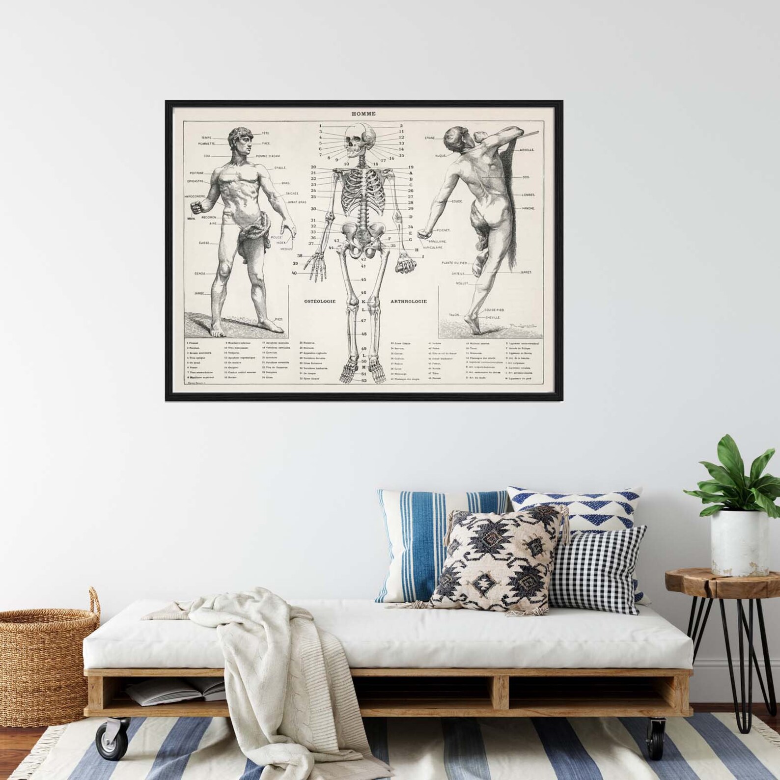 Vintage Anatomy Chart Poster Wall Art Print Medical Medicine Science ...