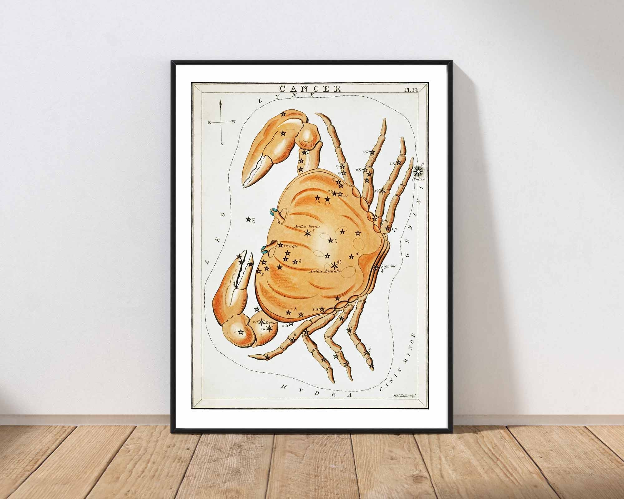 Cancer Zodiac Sign Astronomy Science Stars Wall Art Night Sky Starts ...