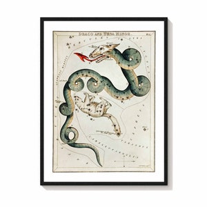 Astronomy Science Stars Wall Art Chart Draco Ursa Minor Snake ...