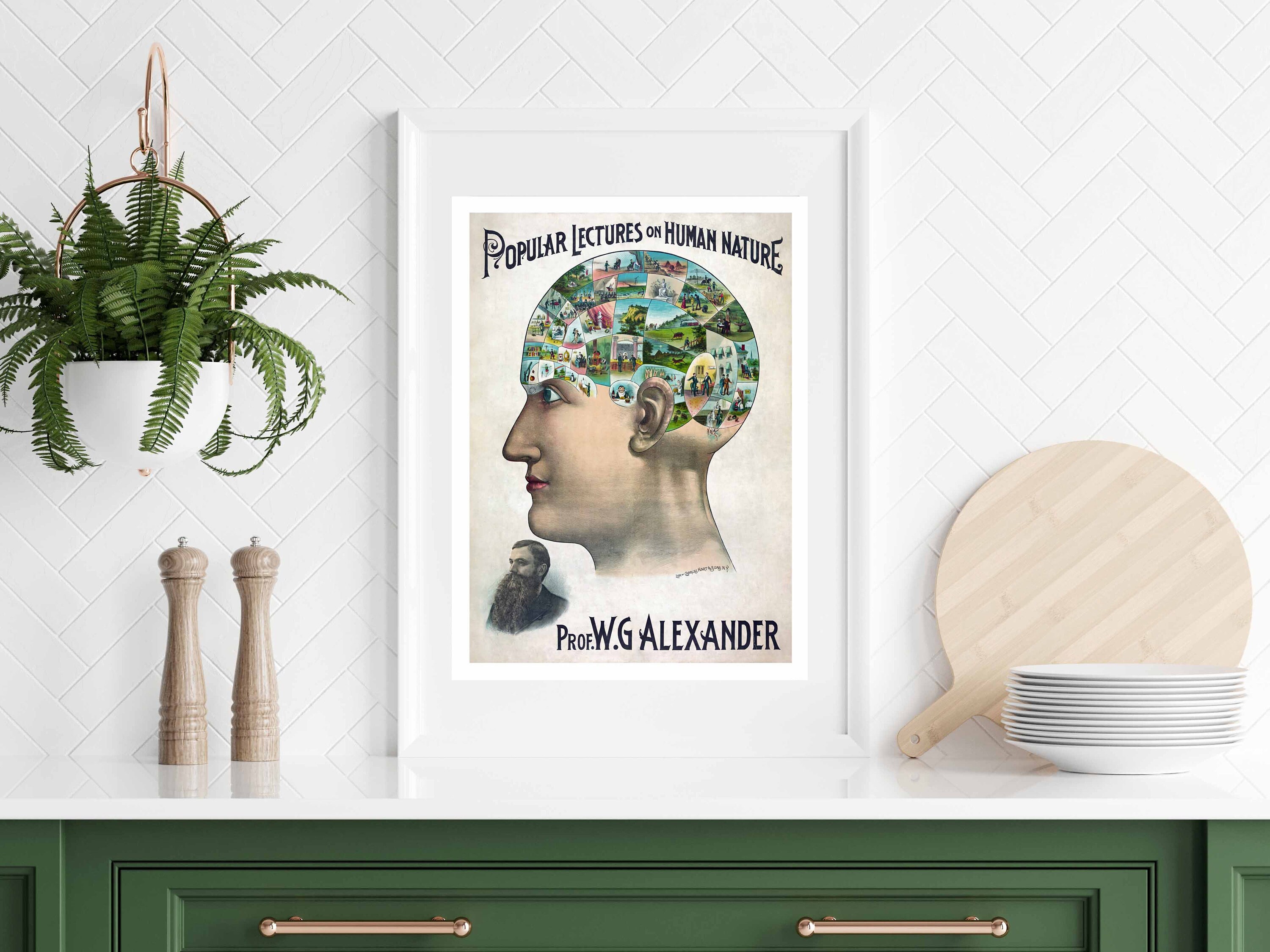 Human Brain Anatomy Science Poster Wall Art Print Vintage Antique ...