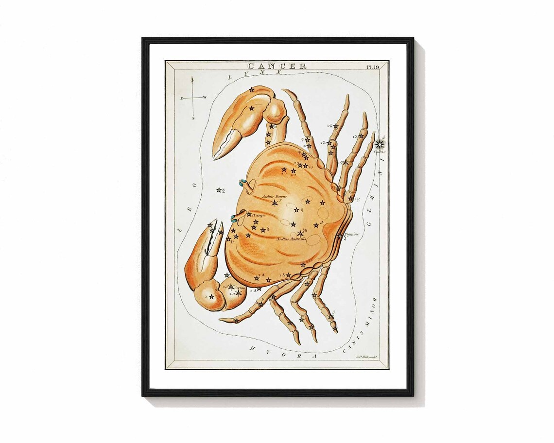 Cancer Zodiac Sign Astronomy Science Stars Wall Art Night Sky Starts ...