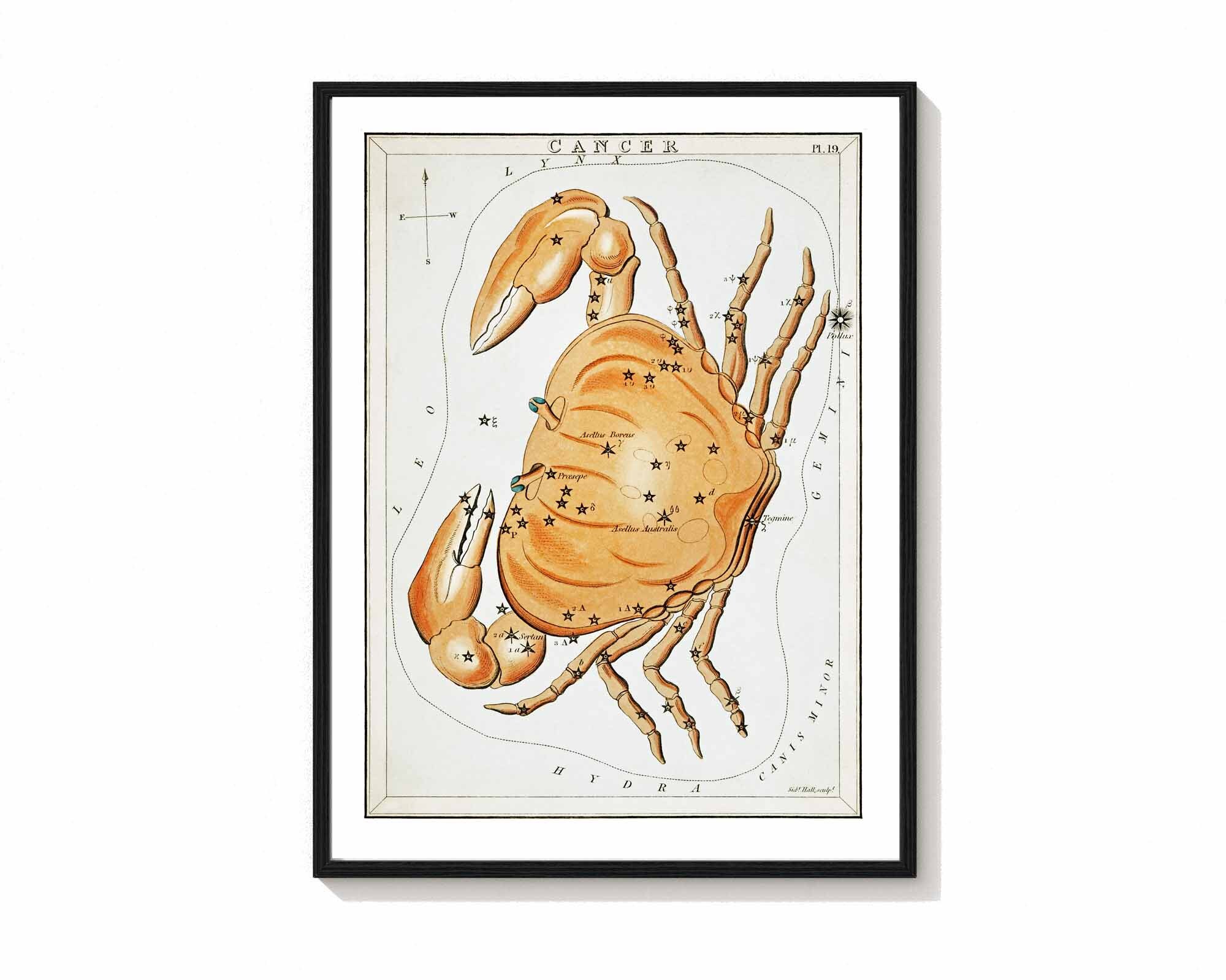 Cancer Zodiac Sign Astronomy Science Stars Wall Art Night Sky Starts ...