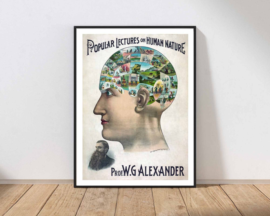Human Brain Anatomy Science Poster Wall Art Print Vintage Antique ...