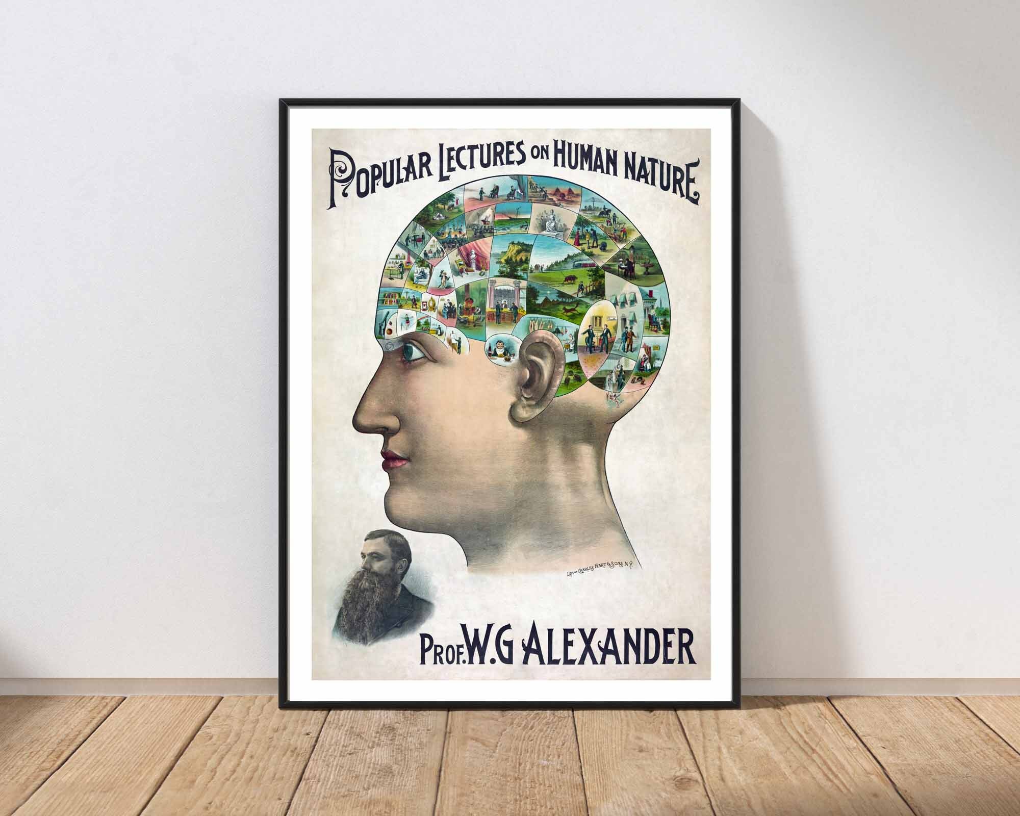 Human Brain Anatomy Science Poster Wall Art Print Vintage Antique ...