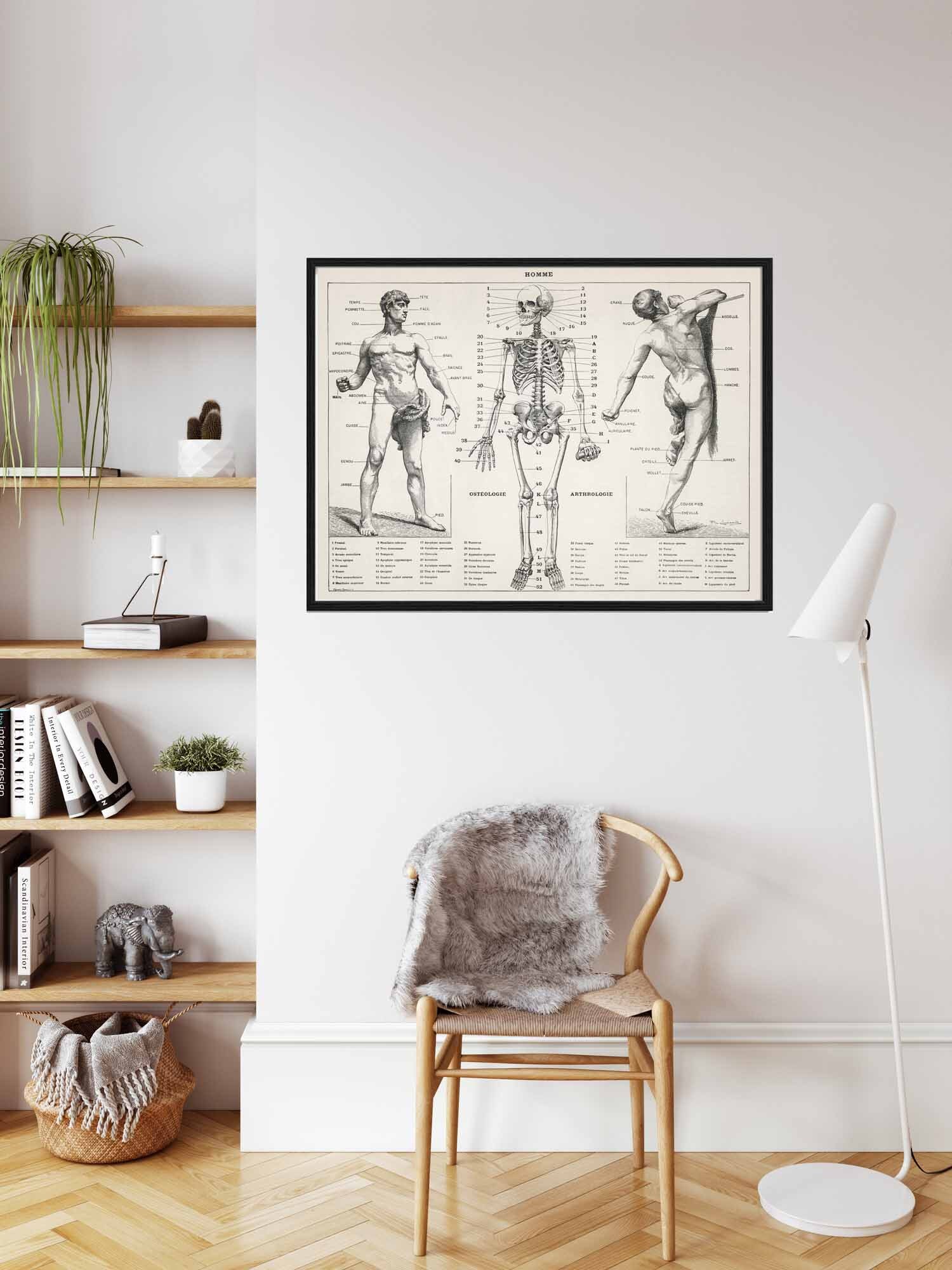 Vintage Anatomy Chart Poster Wall Art Print Medical Medicine Science ...