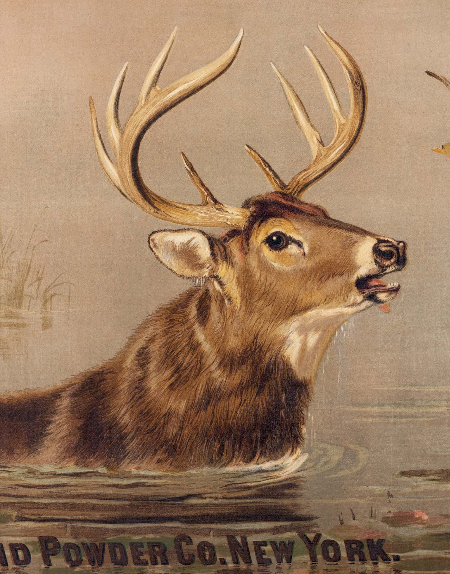 Vintage Moose Deer Elk Hunting Poster Wall Art Ducks Lake Rustic ...