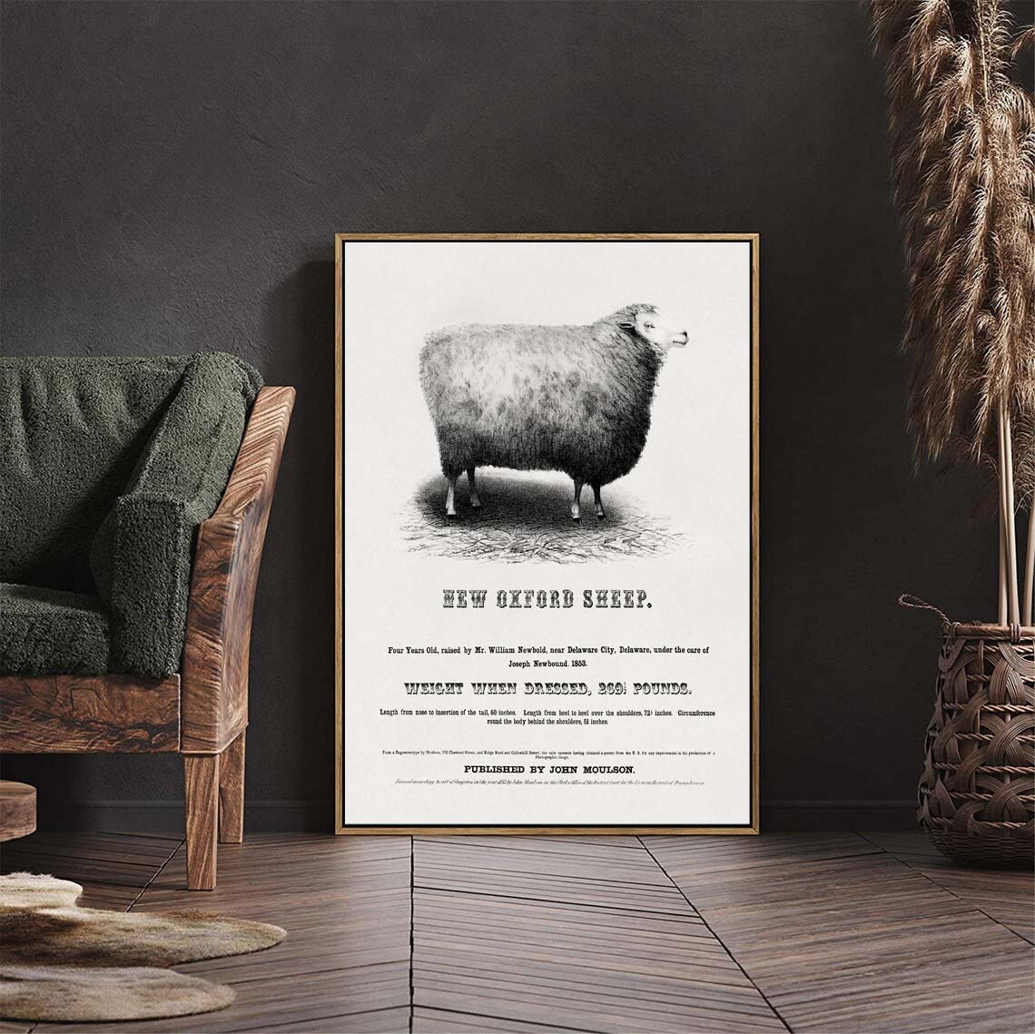 Sheep Vintage Poster Wall Art Farmhouse Decor Farm Animal New Oxford ...