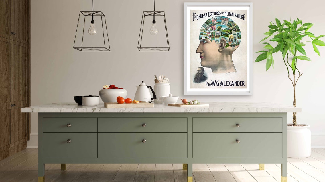 Human Brain Anatomy Science Poster Wall Art Print Vintage Antique ...