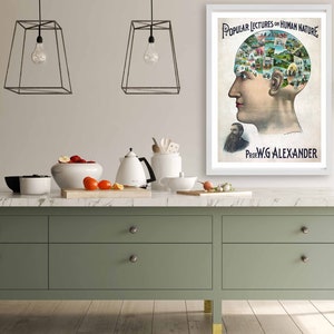 Human Brain Anatomy Science Poster Wall Art Print Vintage Antique ...