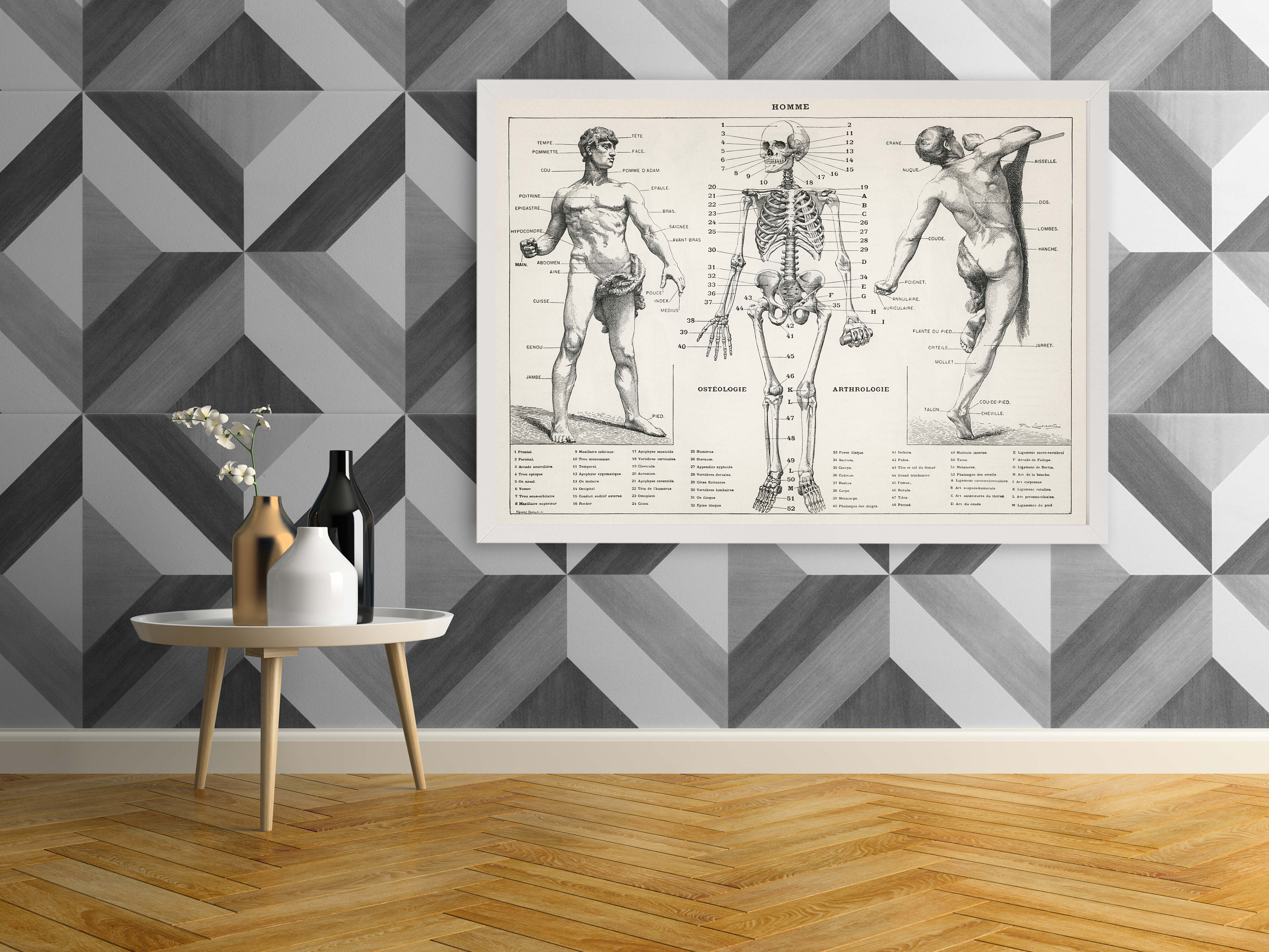 Vintage Anatomy Chart Poster Wall Art Print Medical Medicine Science ...