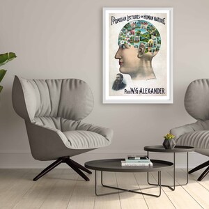 Human Brain Anatomy Science Poster Wall Art Print Vintage Antique ...