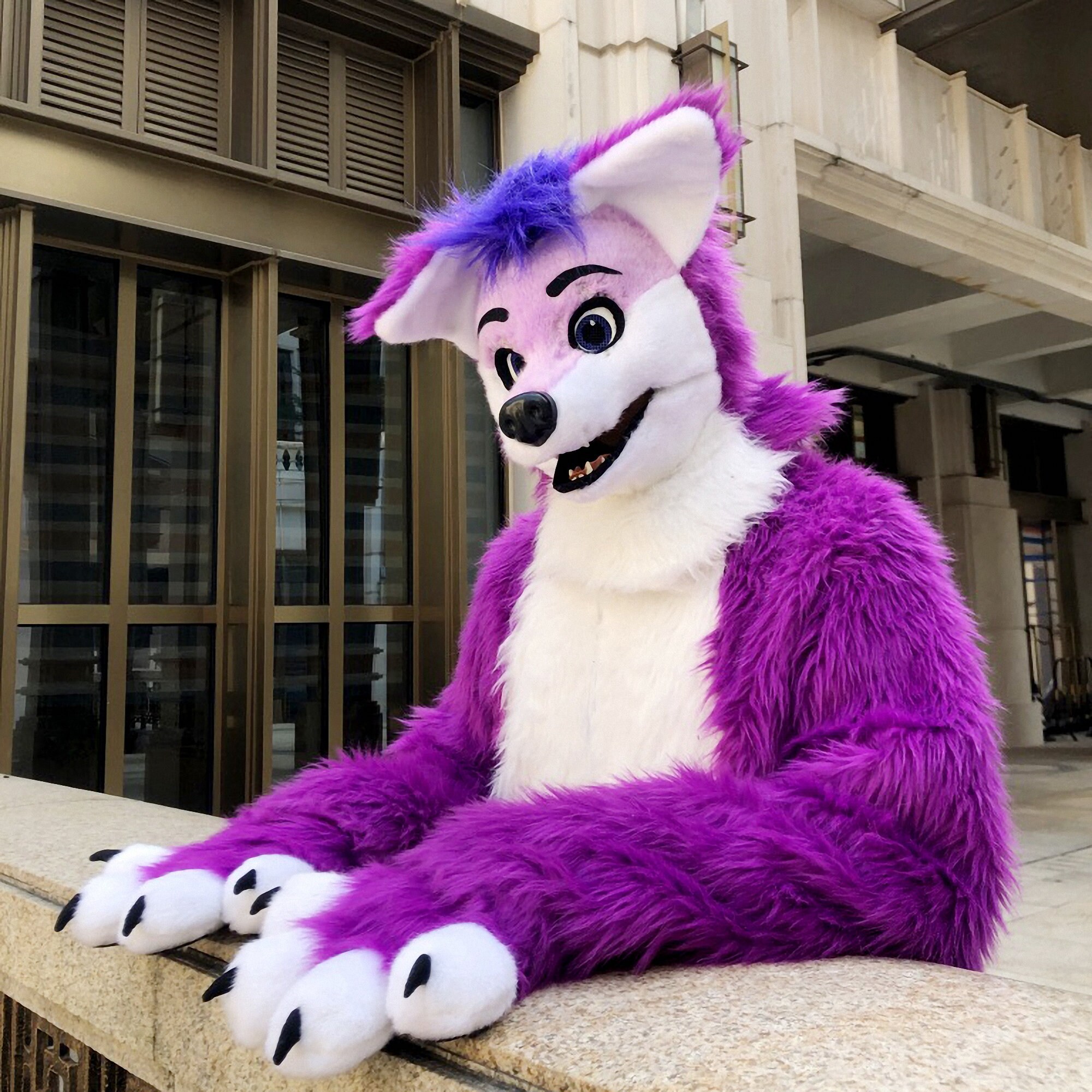 Full fursuit realistic fursuit head fursuit head fully | Etsy